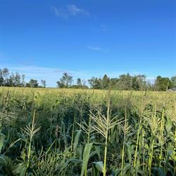 Ferme Big Rock Farm - Farms in Gatineau 45 Chemin Kelly, Gatineau, QC ...